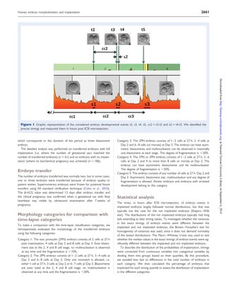 Morphokinetics | PDF