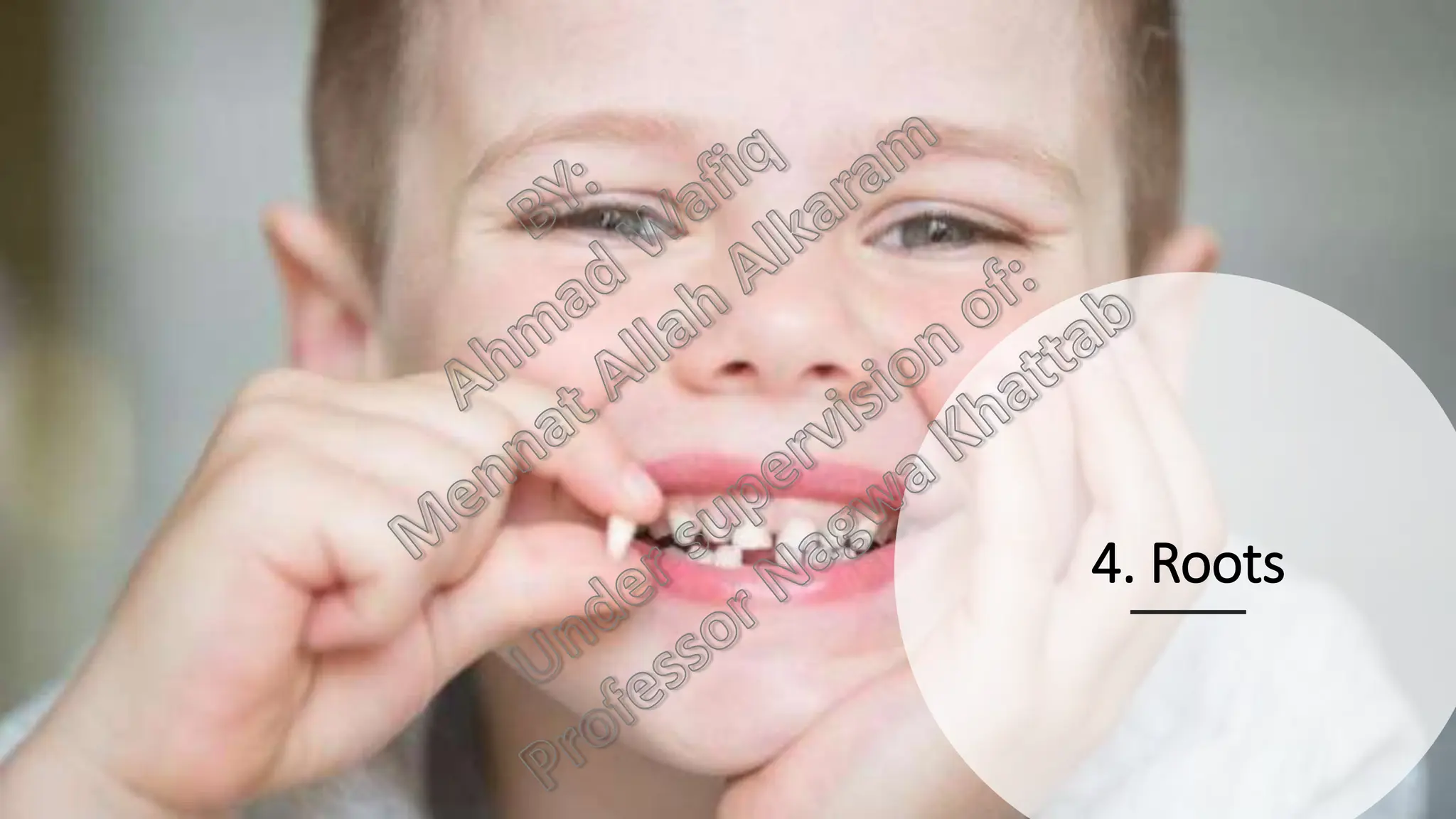 Morphological differences between permanent and deciduous teeth.pptx