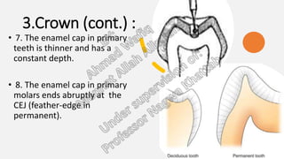 Morphological differences between permanent and deciduous teeth.pptx