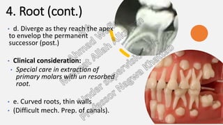 Morphological differences between permanent and deciduous teeth.pptx