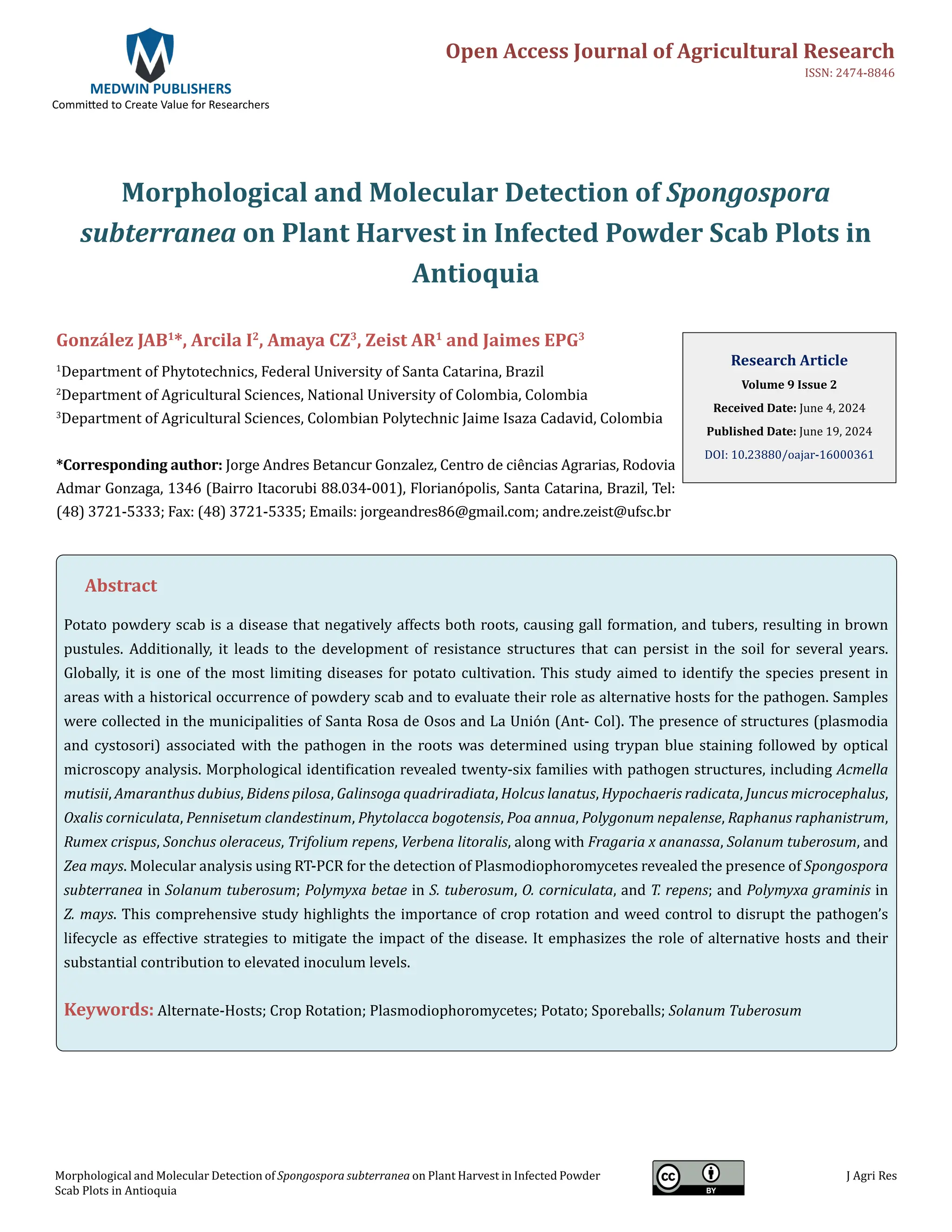 morphological-and-molecular-detection-of-spongospora-subterranea-on ...