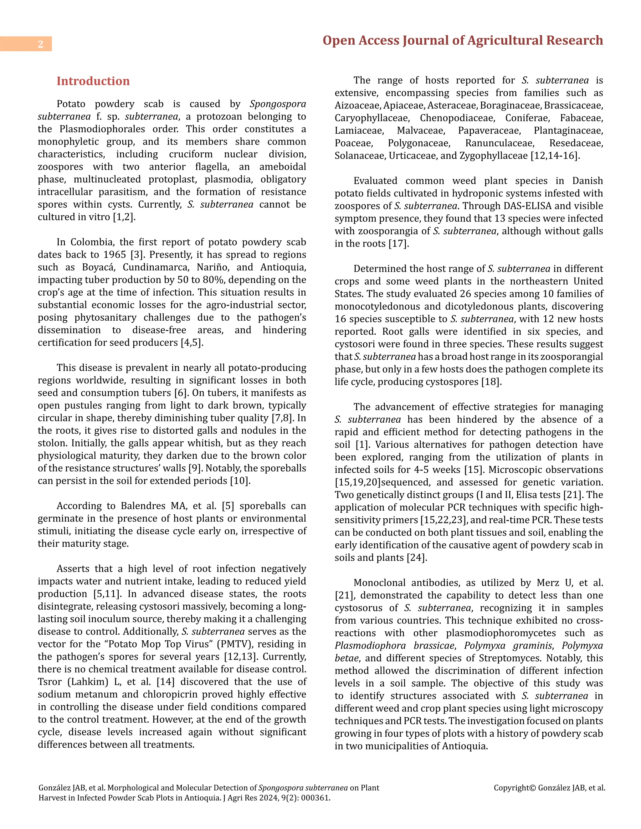 morphological-and-molecular-detection-of-spongospora-subterranea-on ...