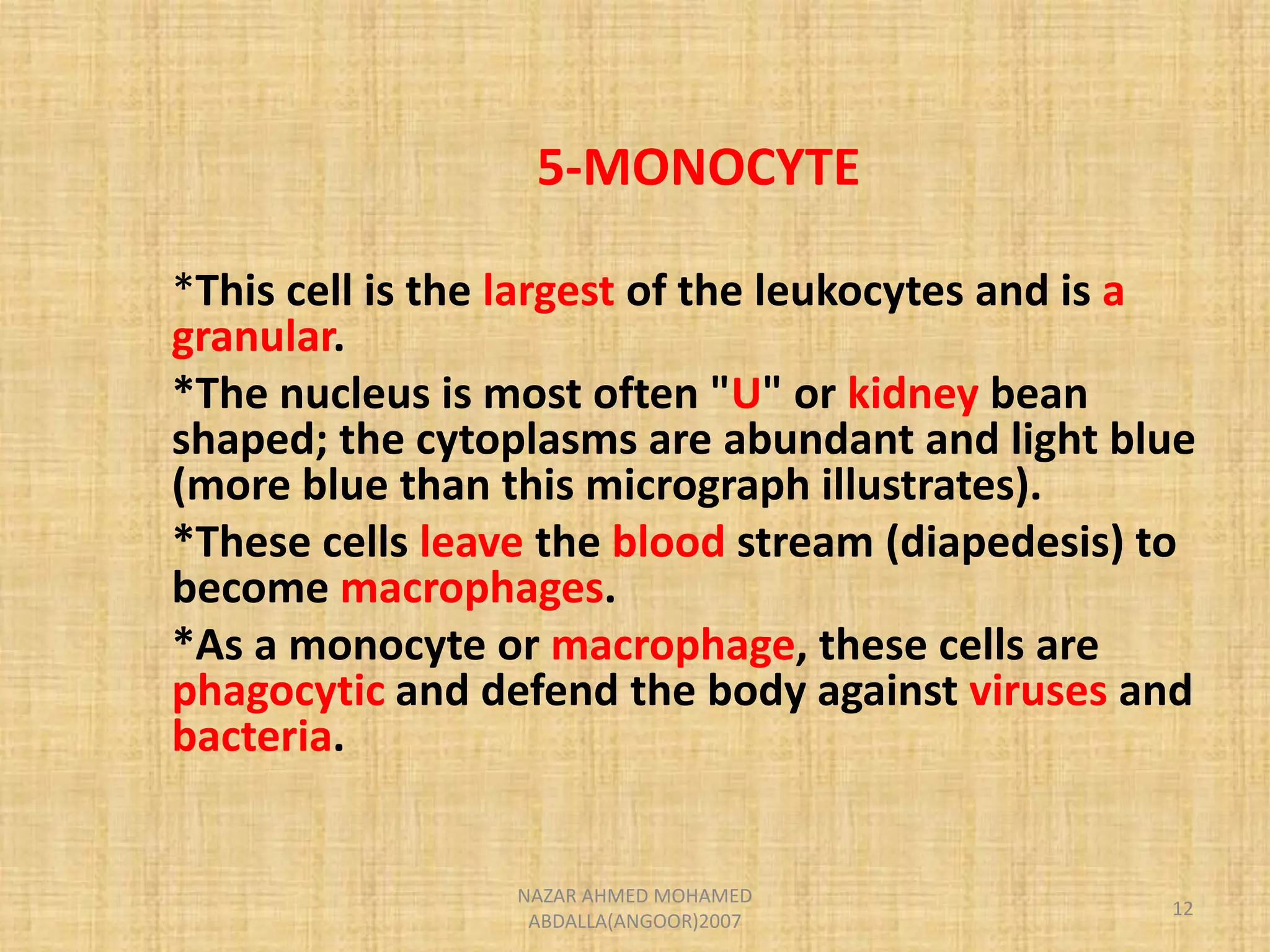 Morphological abnormality of white blood cell | PDF