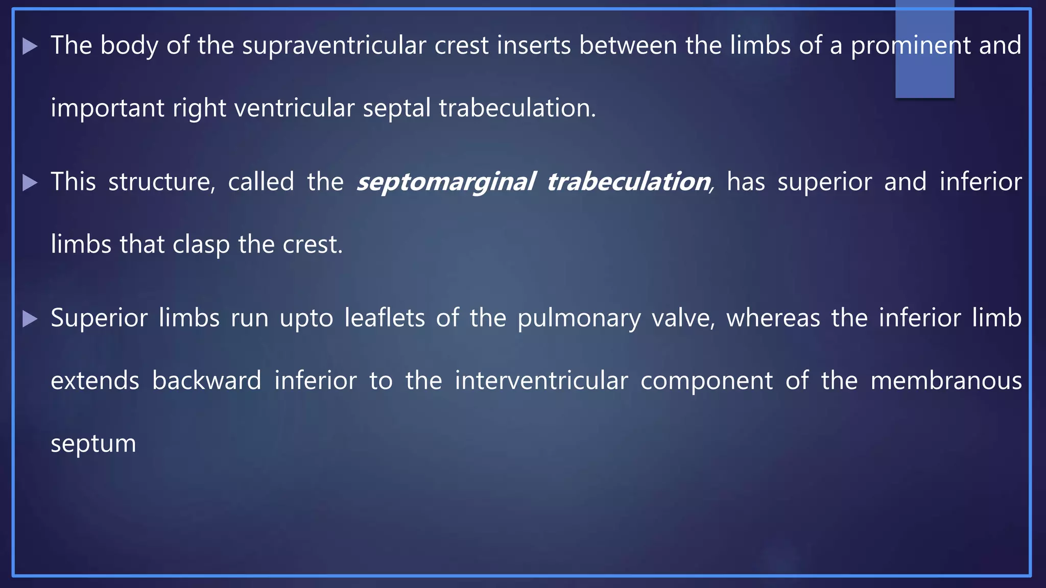Morphological anatomy of heart | PPTX