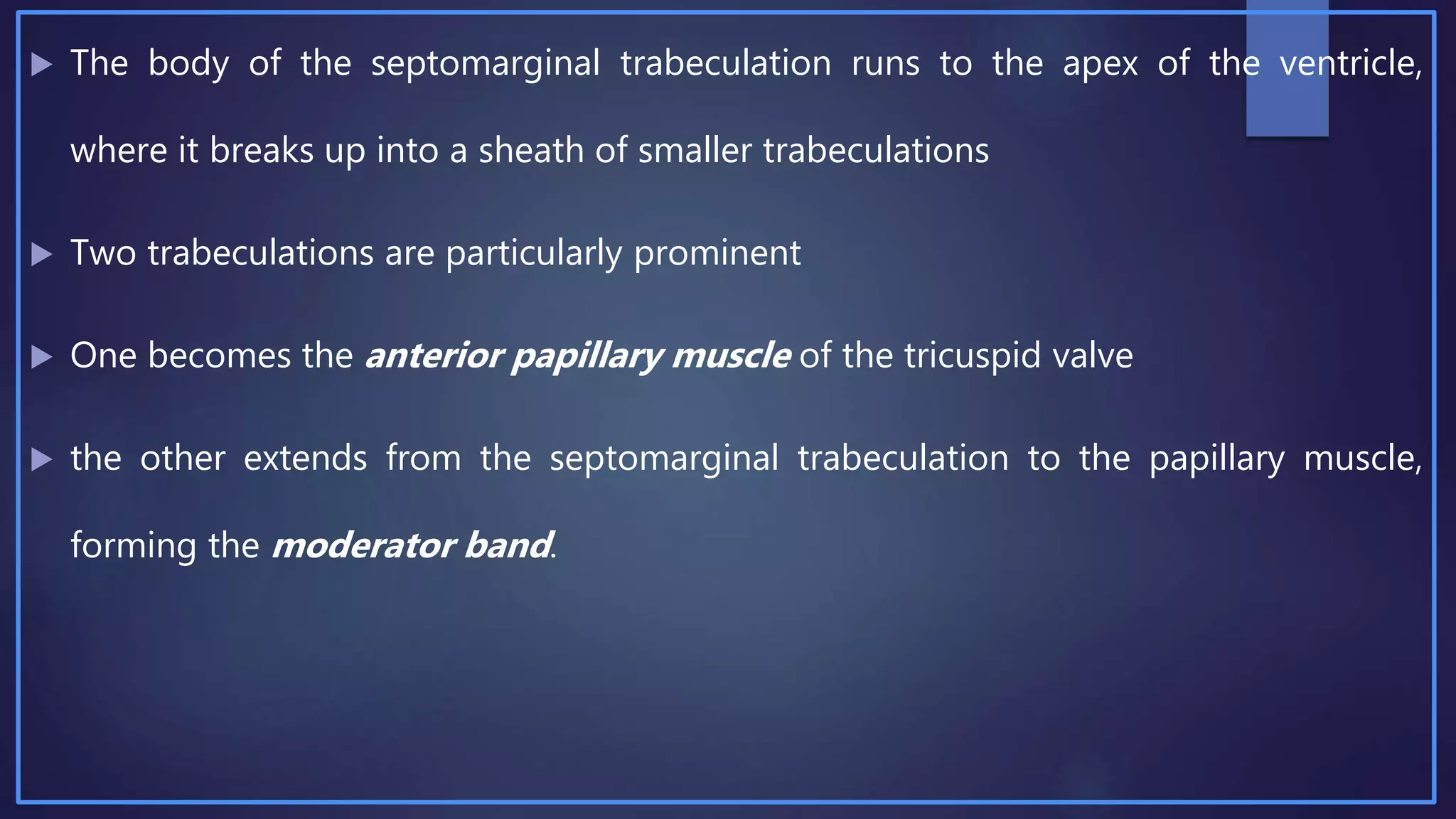 Morphological anatomy of heart | PPTX