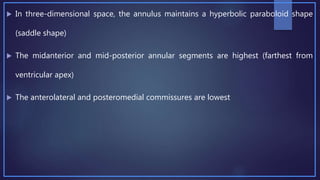 Morphological anatomy of heart | PPTX
