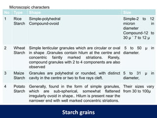 Morphological and histological characteristics of crude drugs | PDF