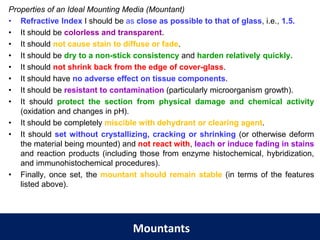 Morphological and histological characteristics of crude drugs | PDF