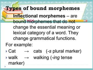Morphological change | PPTX