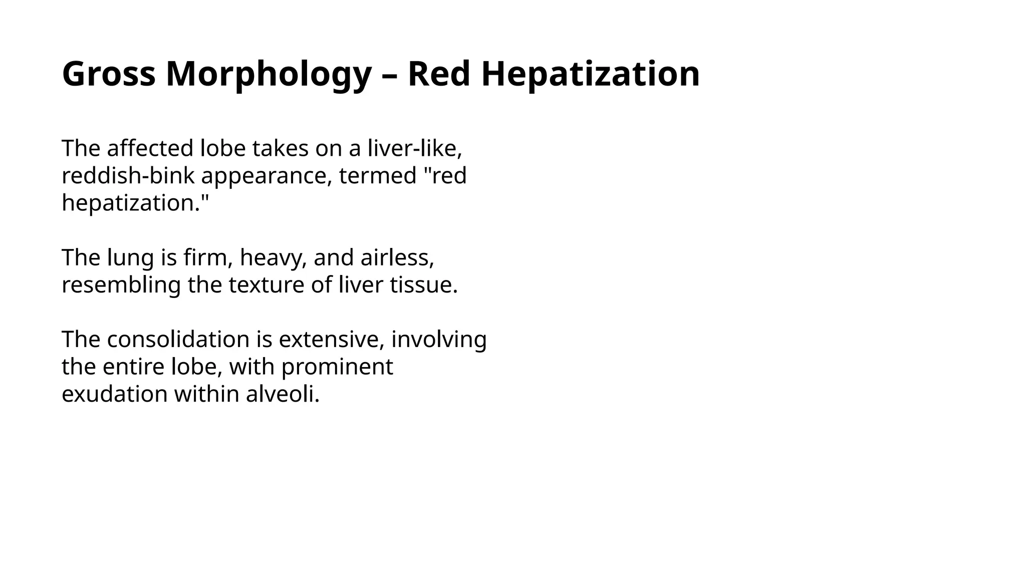 Morphological Characteristics Of Lobar Pneumonia Only Full Morphology.pptx