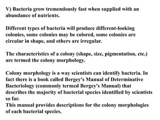 morphological characteristics ppt.pptx importance | PPT