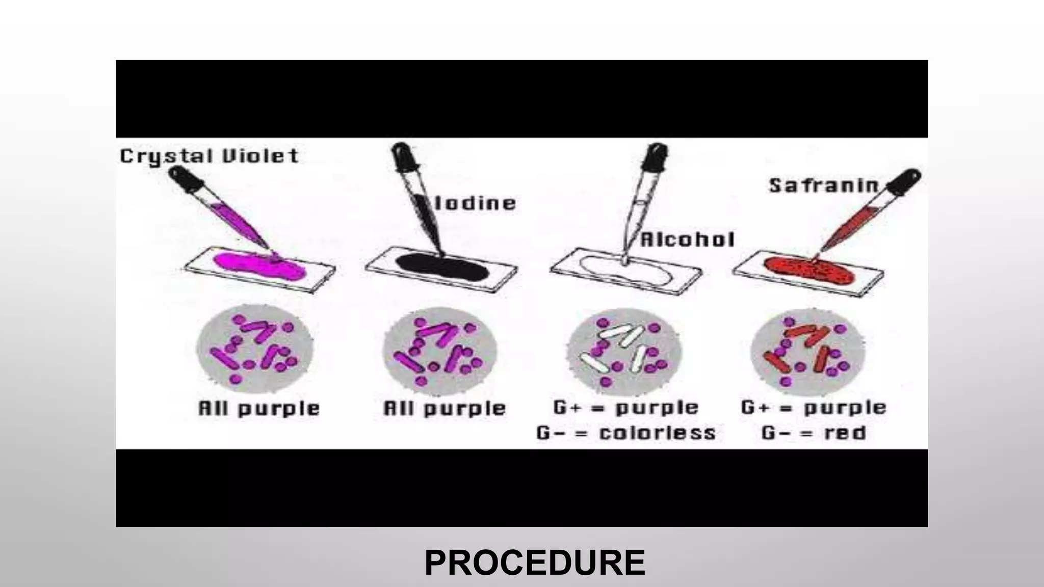 Staining techniques of Microorganisms | PPTX