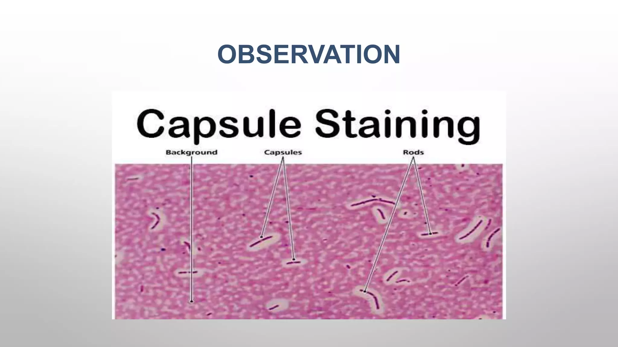 Staining techniques of Microorganisms | PPTX