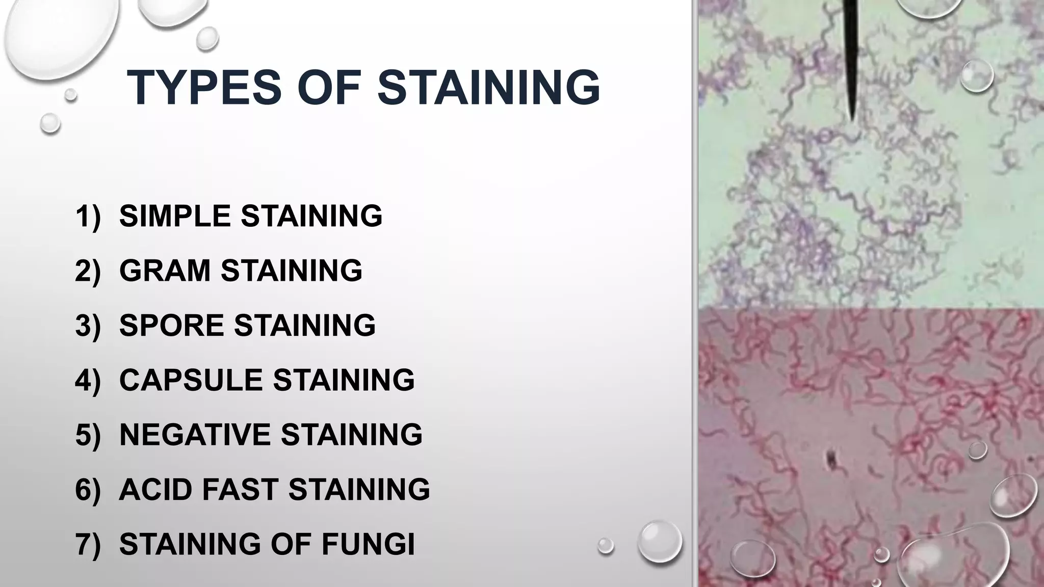 Staining techniques of Microorganisms | PPTX
