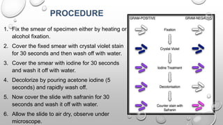 Staining techniques of Microorganisms | PPTX