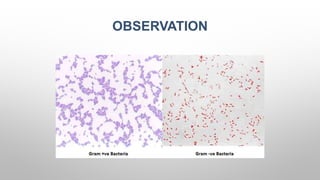 Staining techniques of Microorganisms | PPTX