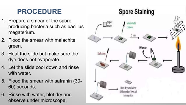 Staining techniques of Microorganisms | PPTX