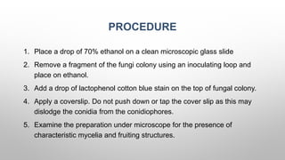 Staining techniques of Microorganisms | PPTX