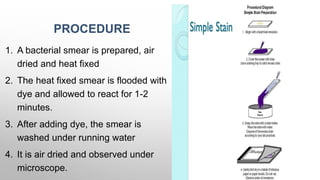 Staining techniques of Microorganisms | PPTX
