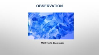 Staining techniques of Microorganisms | PPTX