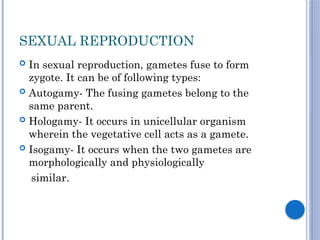 MORPHOLOGICAL CHARACTERS AND MODES OF REPRODUCTION OF ALGAE | PPT