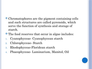 MORPHOLOGICAL CHARACTERS AND MODES OF REPRODUCTION OF ALGAE | PPT