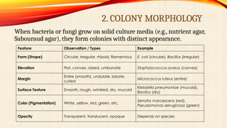 Morphological Charactrization Of Microbes by Vanshika[1].pptx