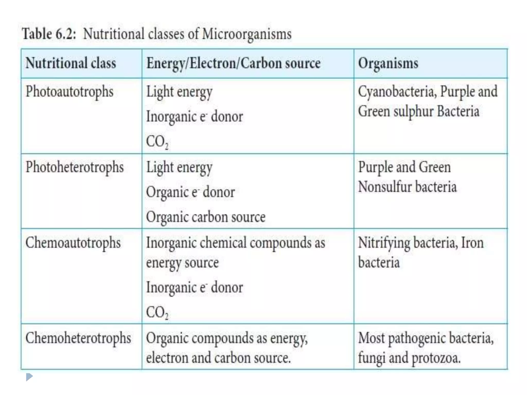 Morphological classification of bacteria | PPTX
