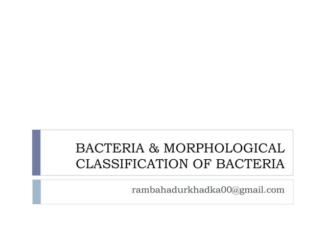 Morphological classification of bacteria | PPTX | Biological Sciences ...