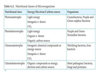 Morphological classification of bacteria | PPTX