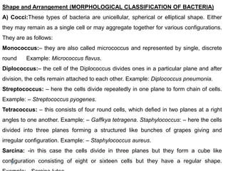 Morphological classification of bacteria | PPTX