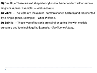 Morphological classification of bacteria | PPTX
