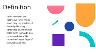 Morphological Classification Of Dermatophytes.pptx