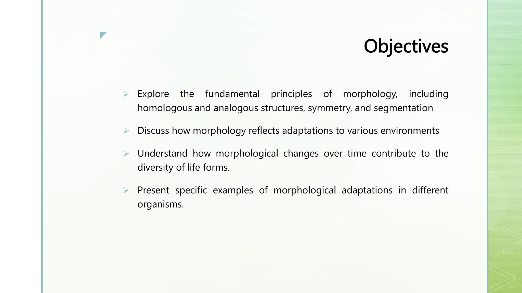 Morphological concepts in evolution involve the study of the physical ...