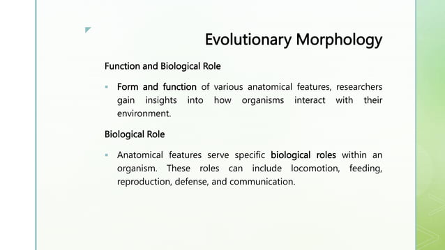 Morphological concepts in evolution involve the study of the physical ...