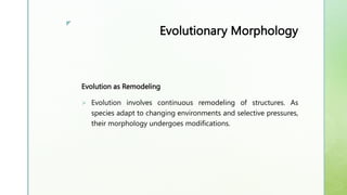 Morphological concepts in evolution involve the study of the physical ...