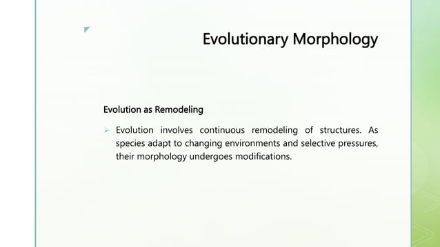 Morphological concepts in evolution involve the study of the physical ...