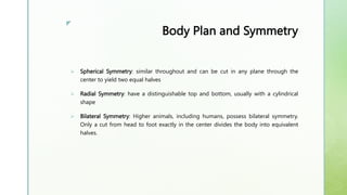 Morphological concepts in evolution involve the study of the physical ...