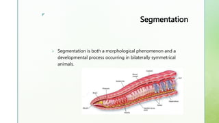 Morphological concepts in evolution involve the study of the physical ...