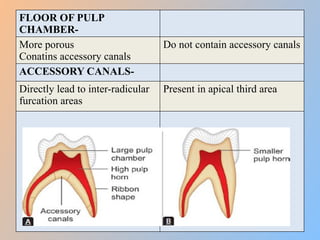 Morphological difference between primary and permanent teeth final.pptx