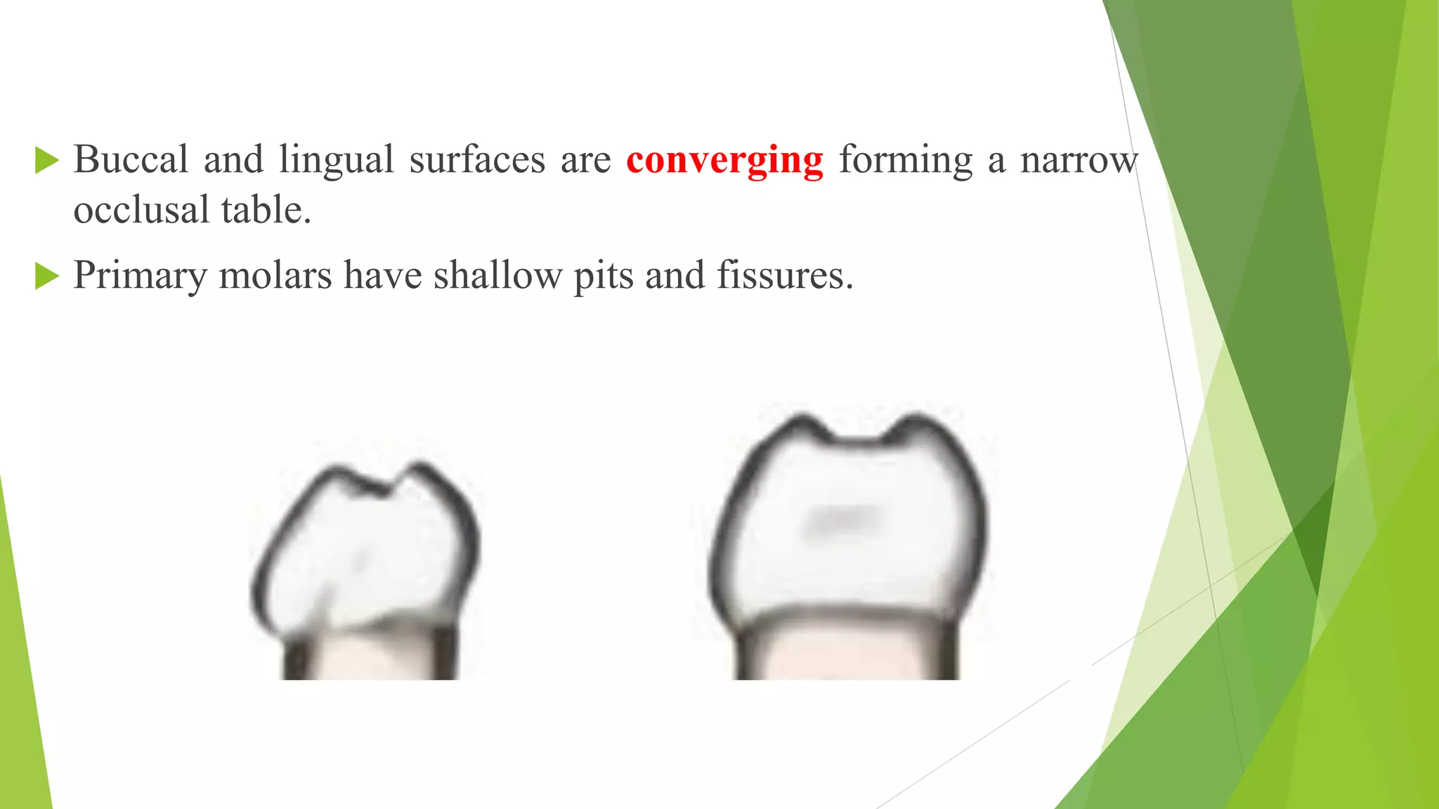 Morphological Differences Between Primary And Permanent Teeth 2016.pptx