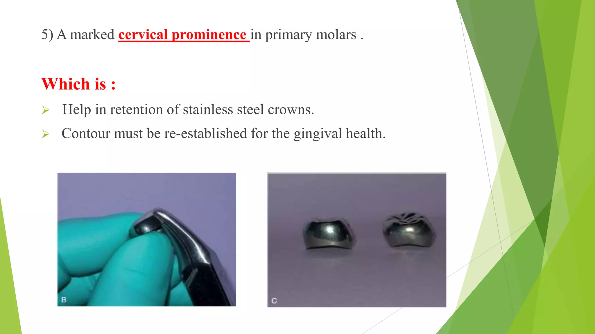 Morphological Differences Between Primary And Permanent Teeth 2016.pptx