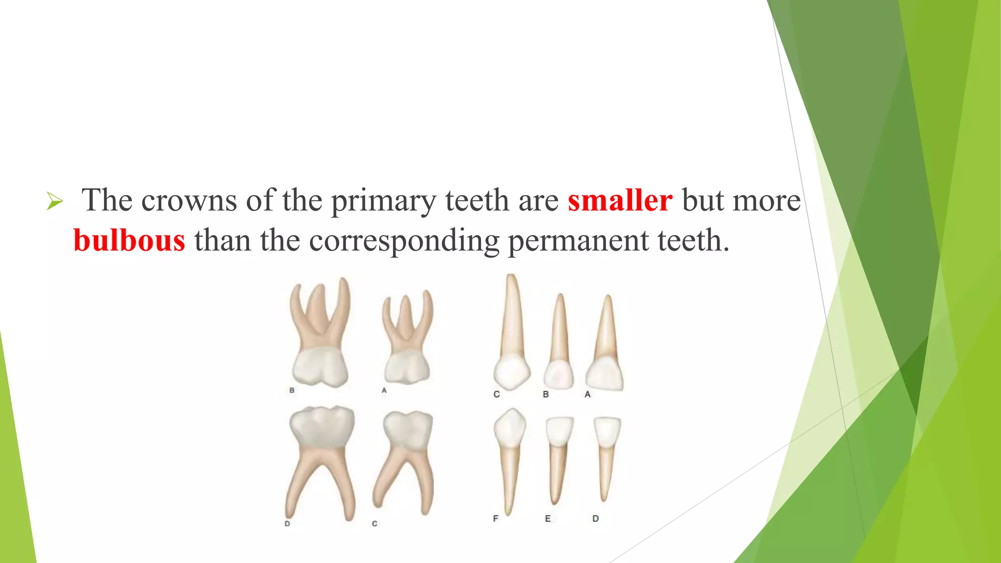 Morphological Differences Between Primary And Permanent Teeth 2016.pptx