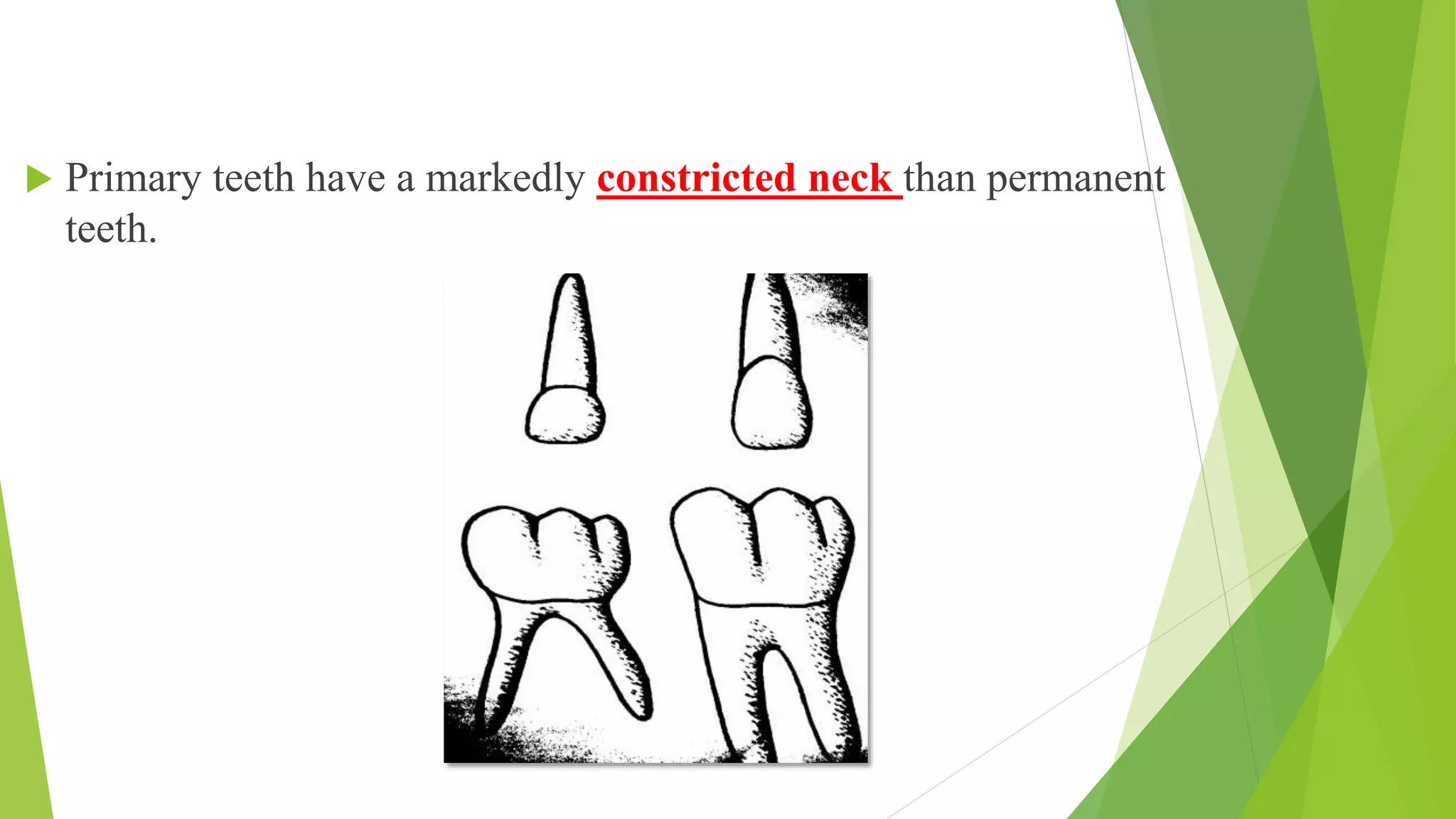 Morphological Differences Between Primary And Permanent Teeth 2016.pptx
