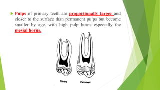 Morphological Differences Between Primary And Permanent Teeth 2016.pptx