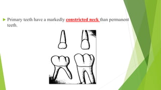 Morphological Differences Between Primary And Permanent Teeth 2016.pptx