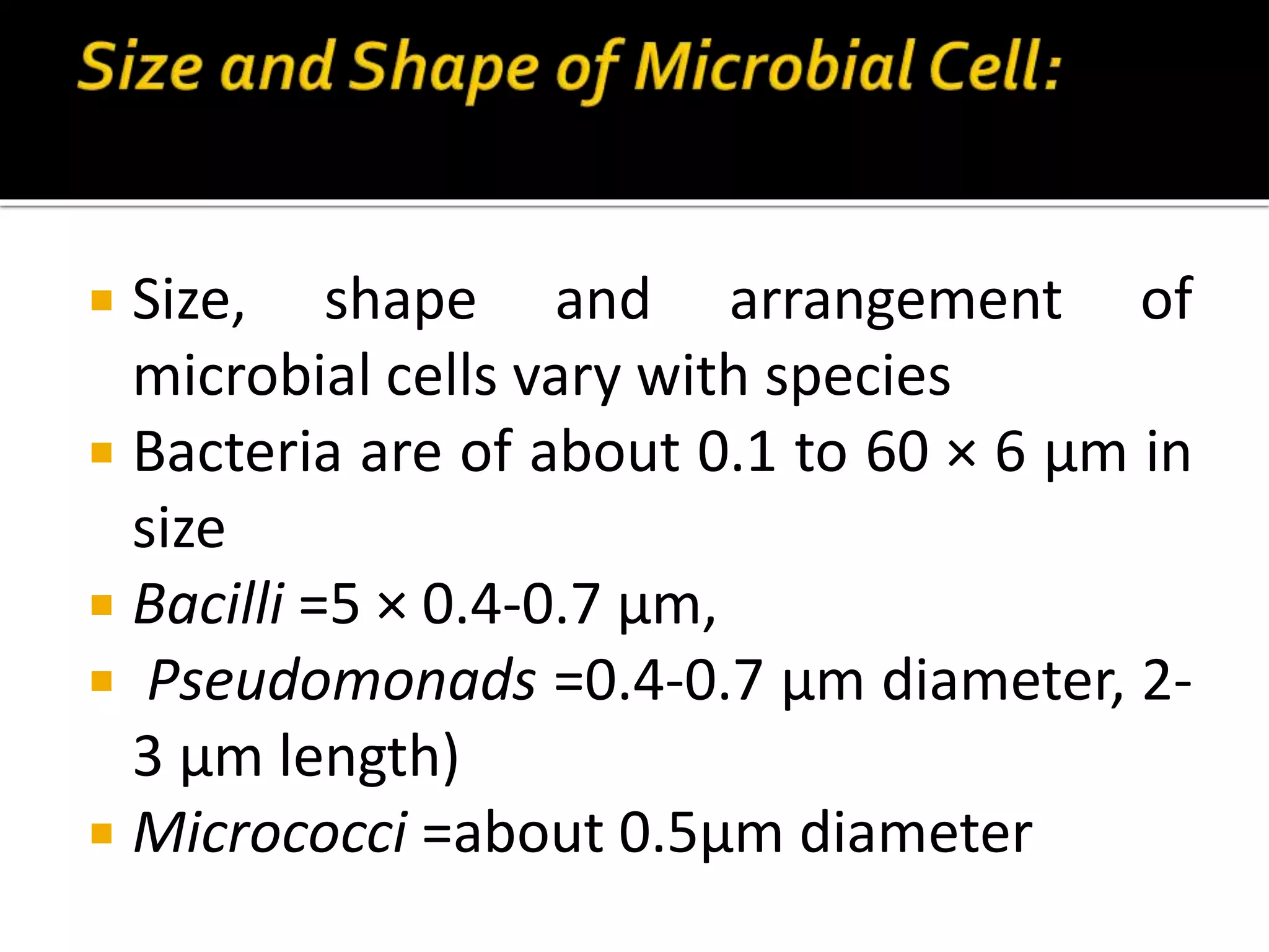 Morphological diversity of microbes | PPT
