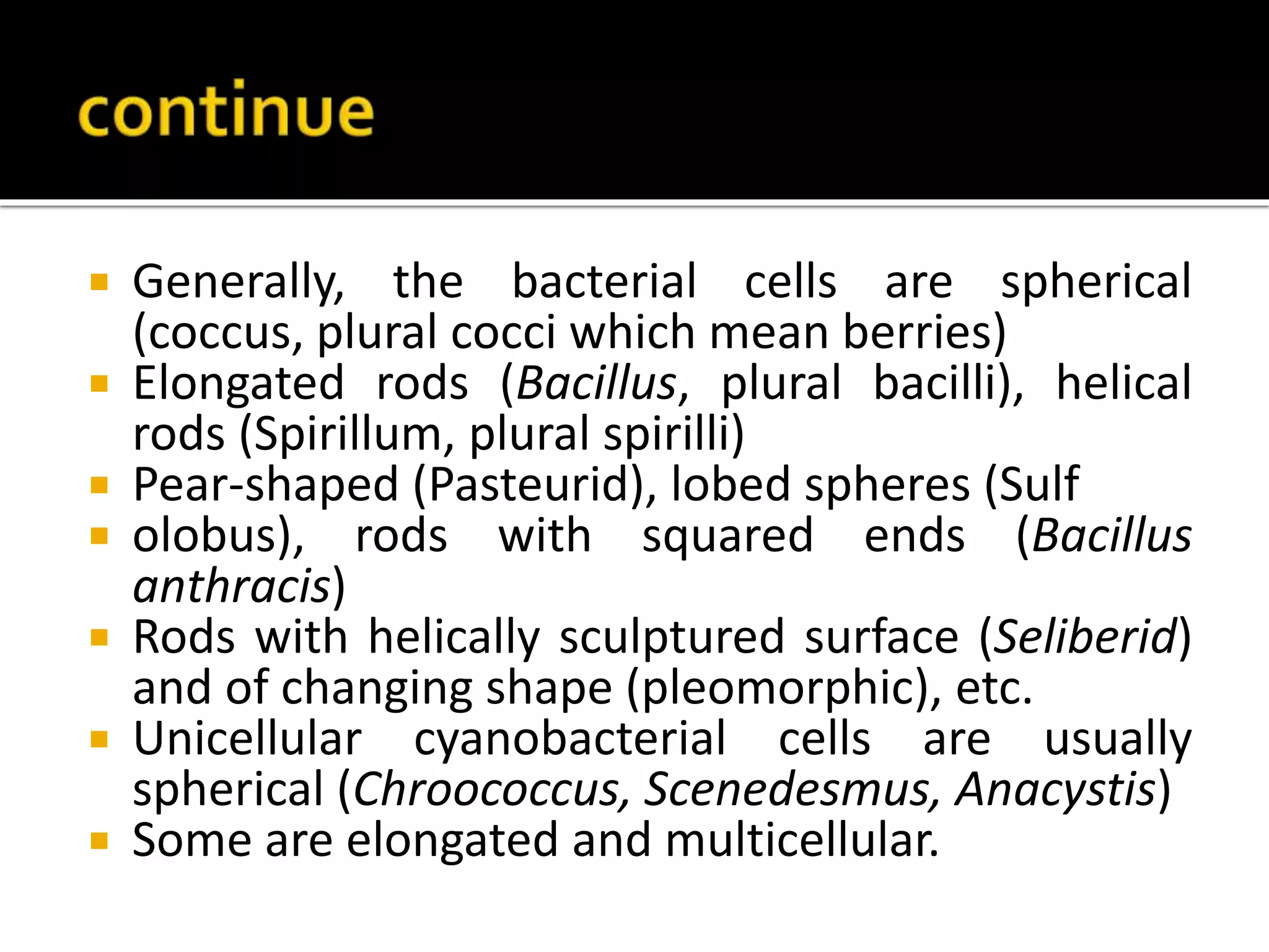 Morphological diversity of microbes | PPT