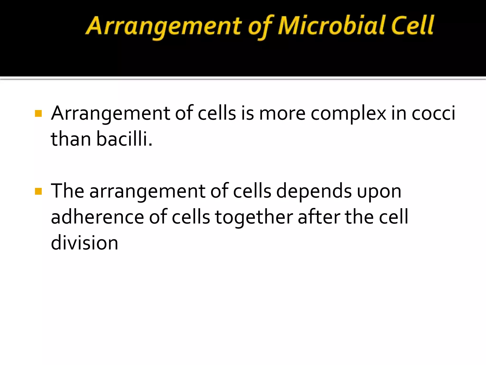 Morphological diversity of microbes | PPTX