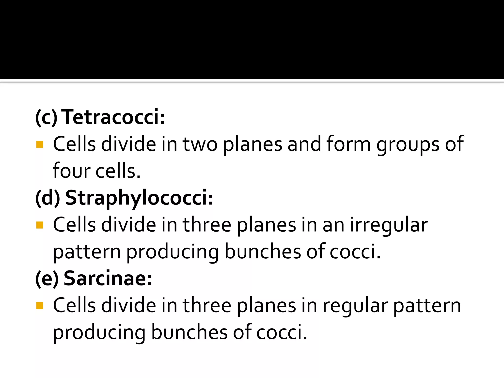 Morphological diversity of microbes | PPT